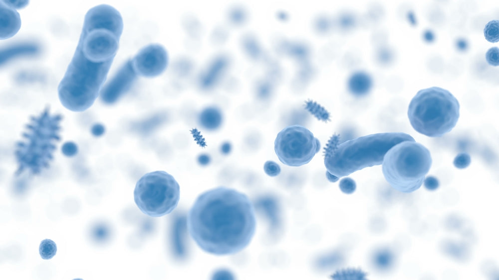 What Are Probiotic Strains and How Do They Work? | VSL Probiotics