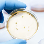 VSL#3 - See How VSl#3 IBS Probiotics Make A Difference